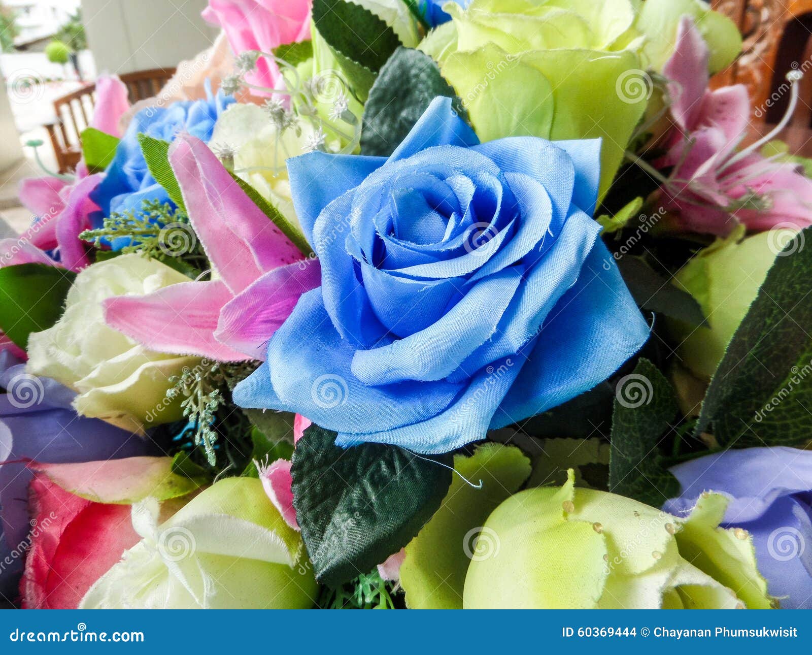 Rose three color stock photo. Image of complexion, botanical - 60369444