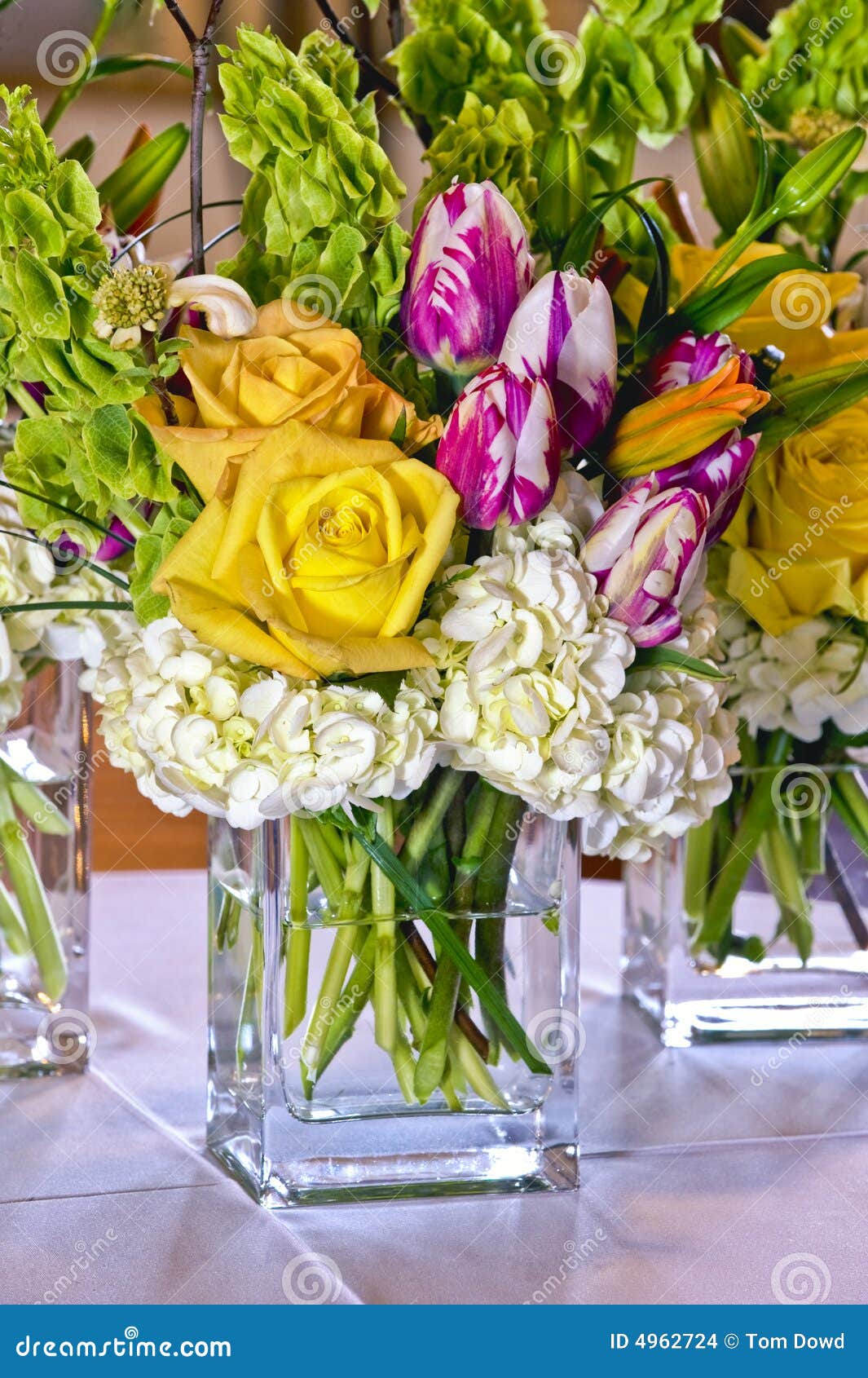 Rose and tulip set stock photo. Image of bouquet, beauty - 4962724