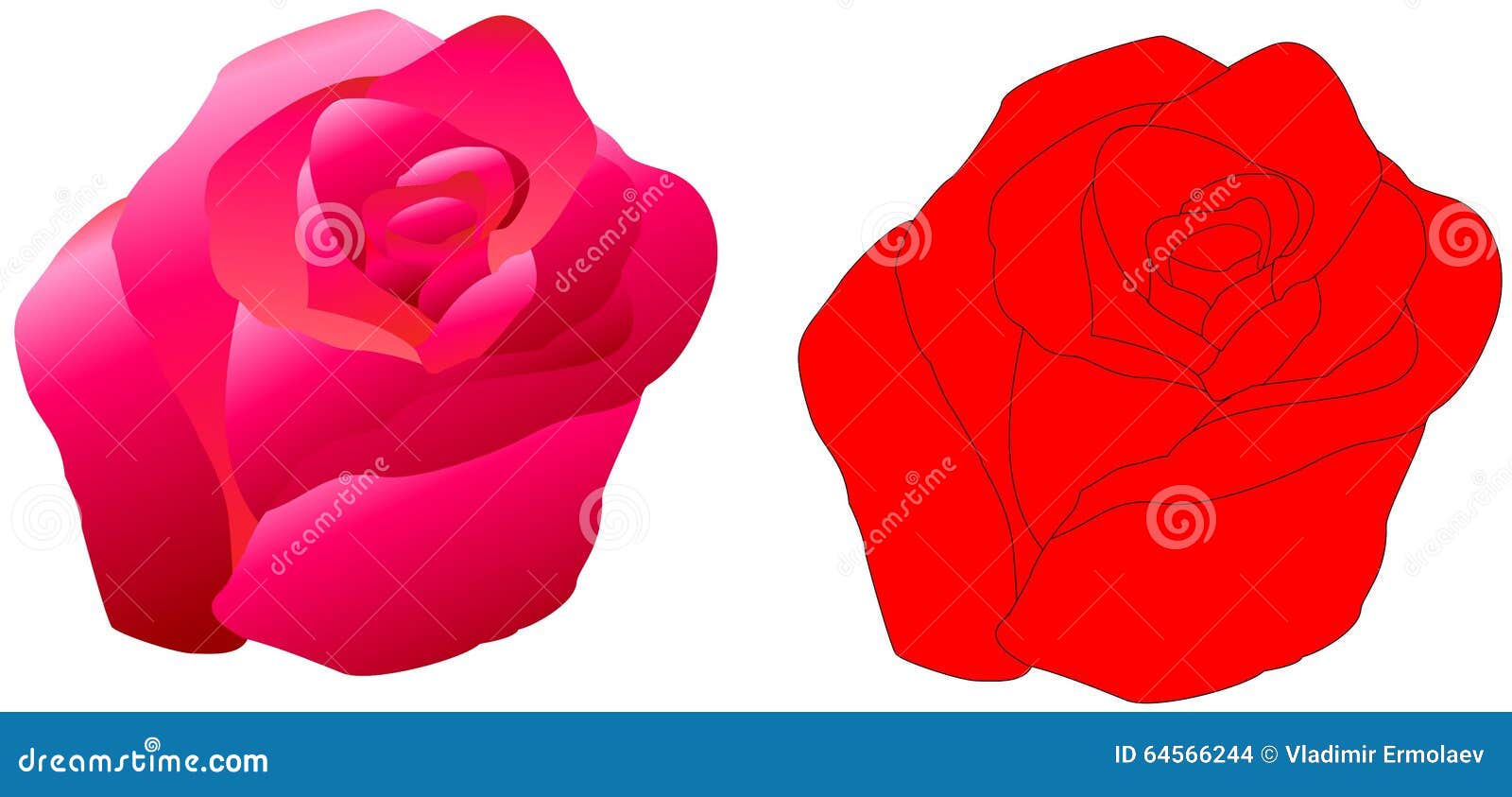 2 rose. stock vector. Illustration of pink, bouquet, plant - 64566244