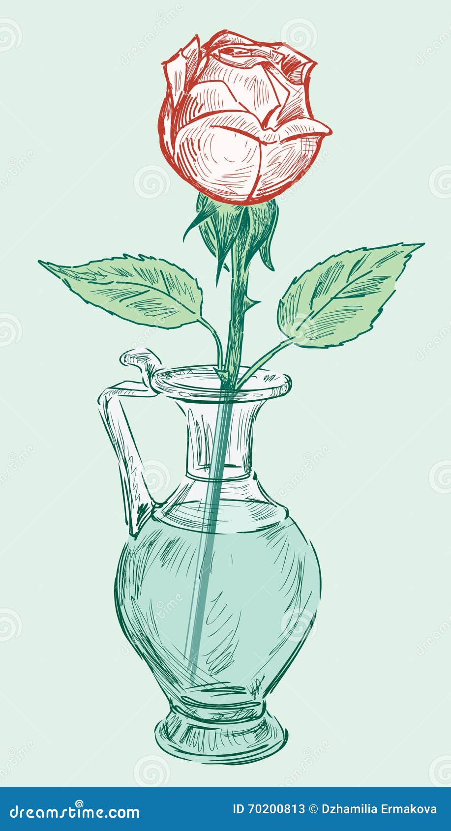 Rose in vase stock vector. Illustration of beauty, petals - 70200813