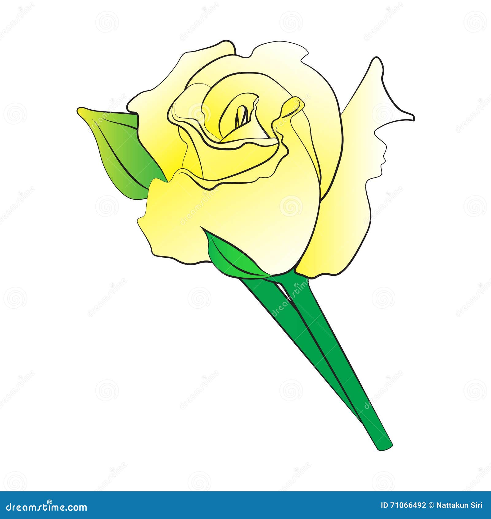 Rose stock illustration. Illustration of icon, object - 71066492