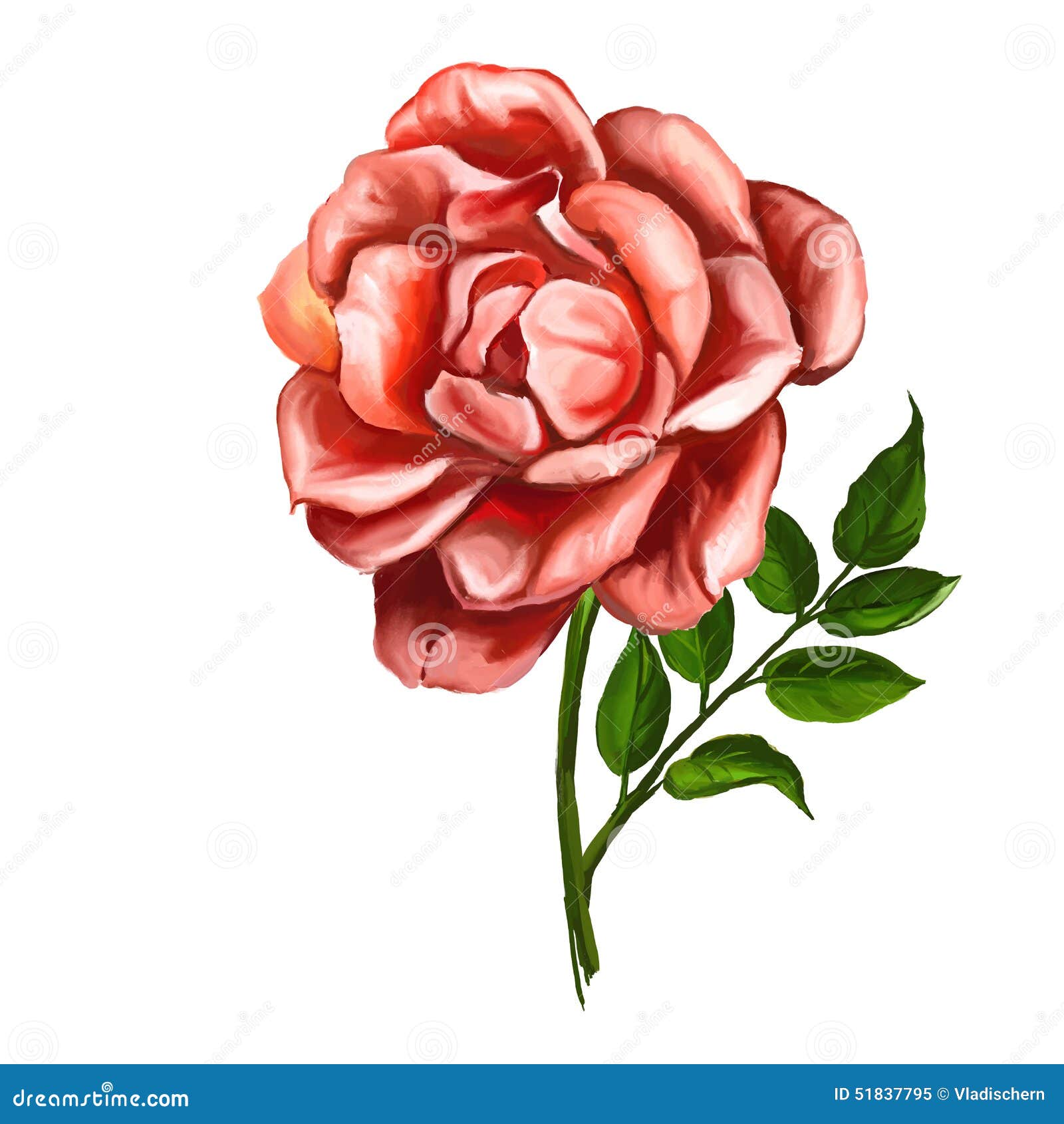 Rose Vector Illustration Hand Drawn Painted Stock Vector - Illustration ...