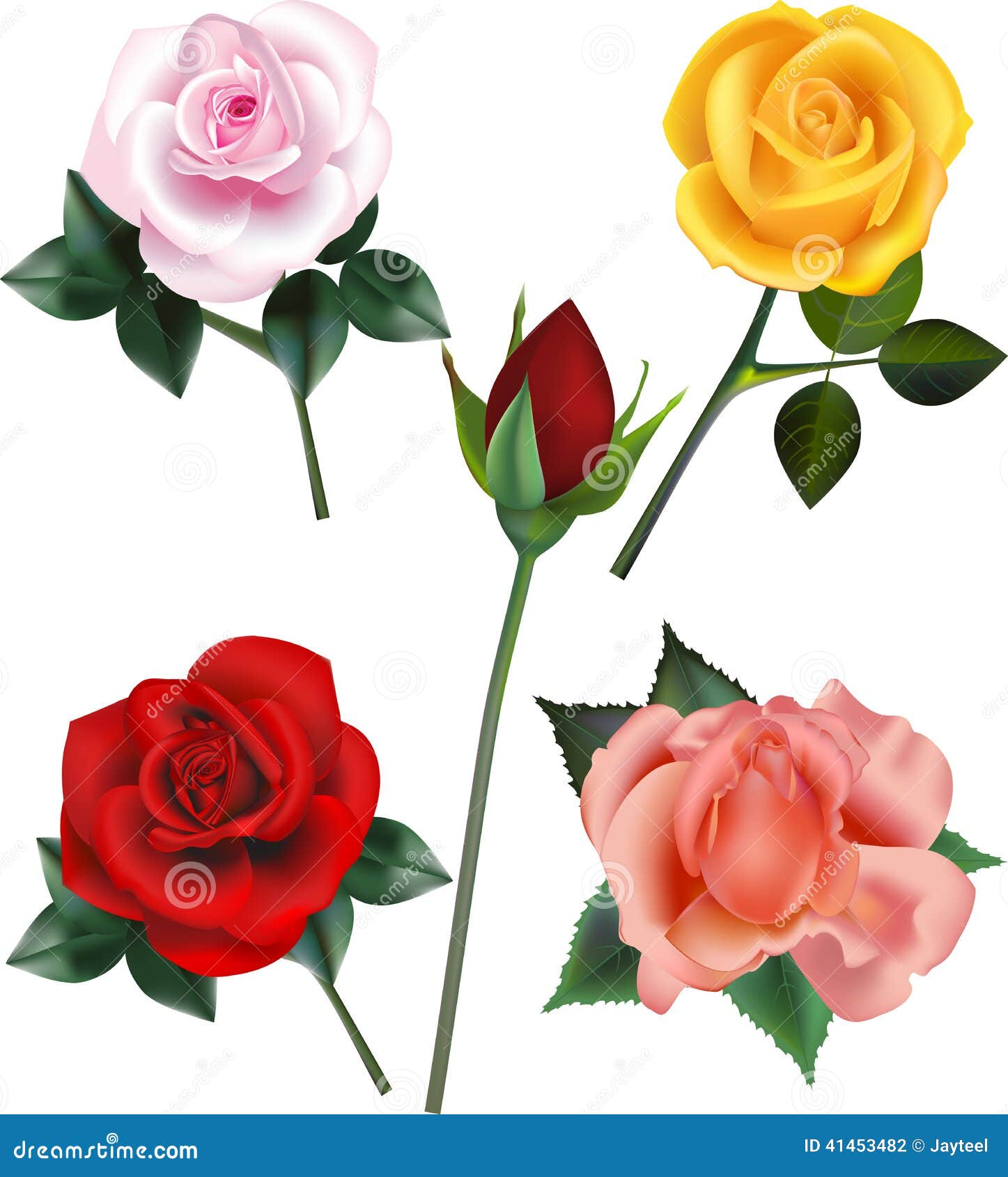 Rose Vector Illustrations stock vector. Illustration of christ - 41453482