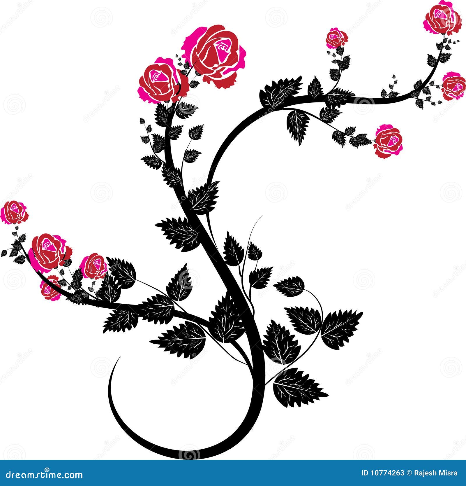 Rose vines-9 stock vector. Illustration of rose, black - 10774263