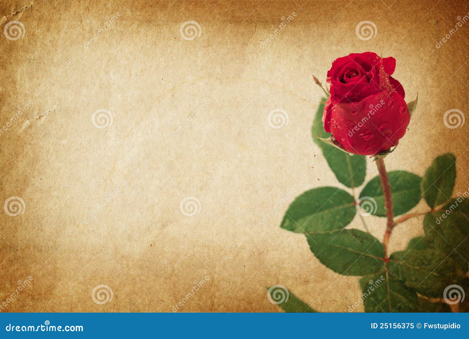 Rose Vintage Old Paper Text Background Stock Illustrations – 1,263 Rose ...