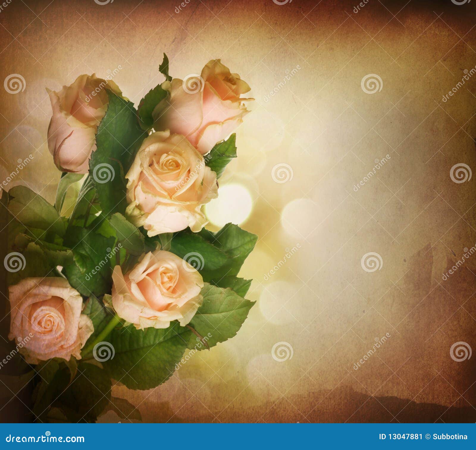Rose.Vintage styled stock image. Image of delicacy, bouquet - 13047881