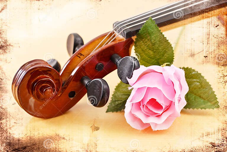 Rose with Violin stock image. Image of hobby, country - 20318045