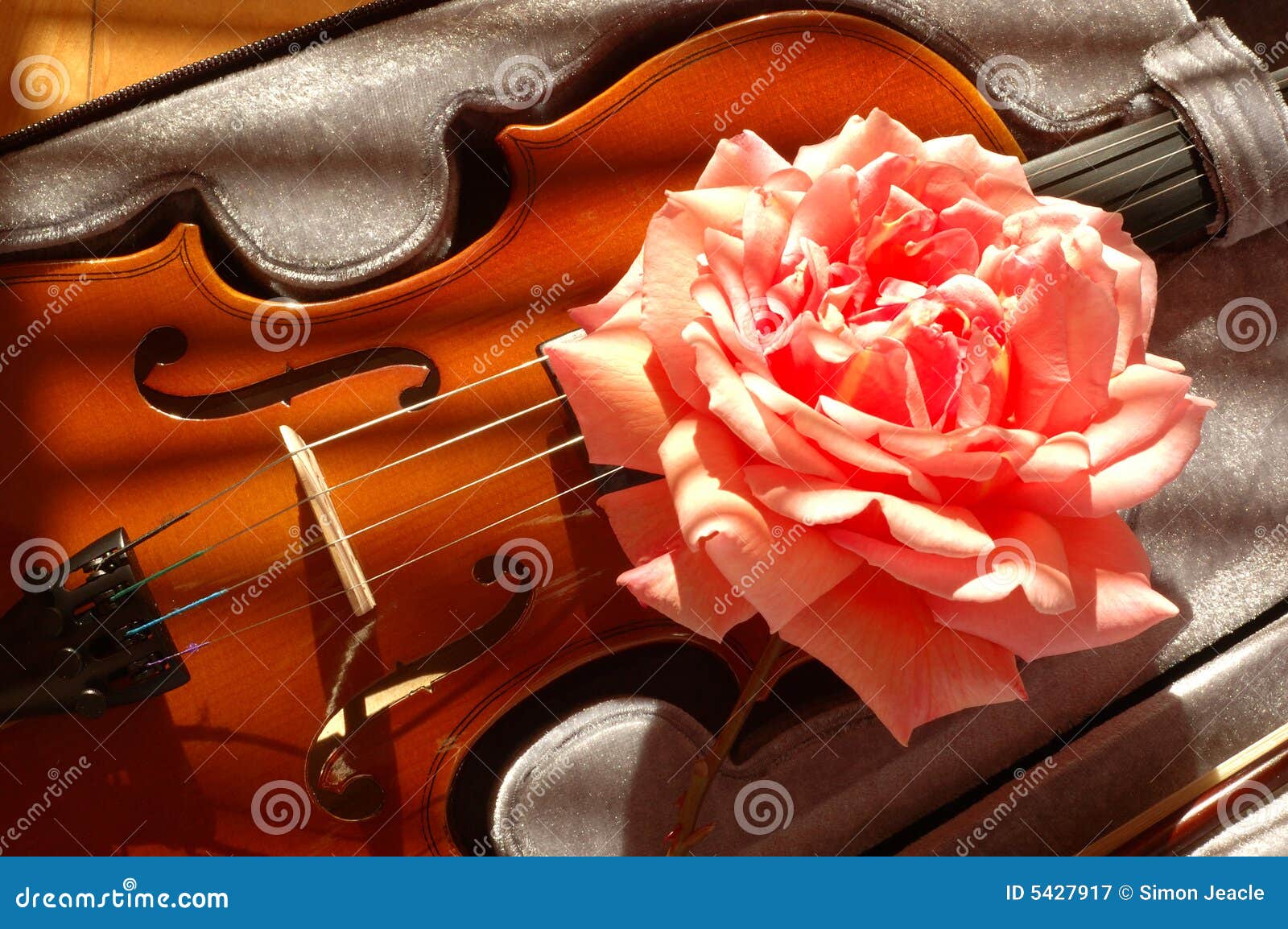 Rose on violin stock image. Image of rose, music, concert - 5427917