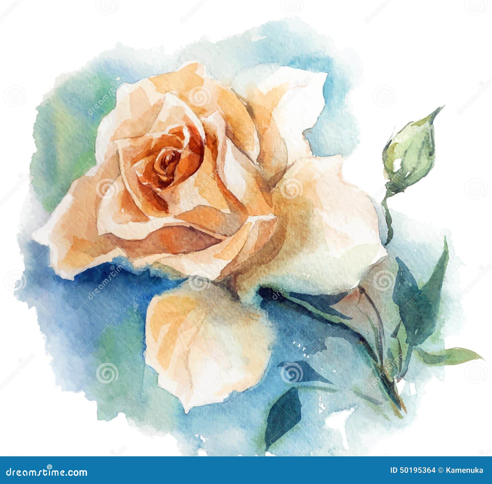 Rose watercolor sketch stock vector. Illustration of sketch - 50195364