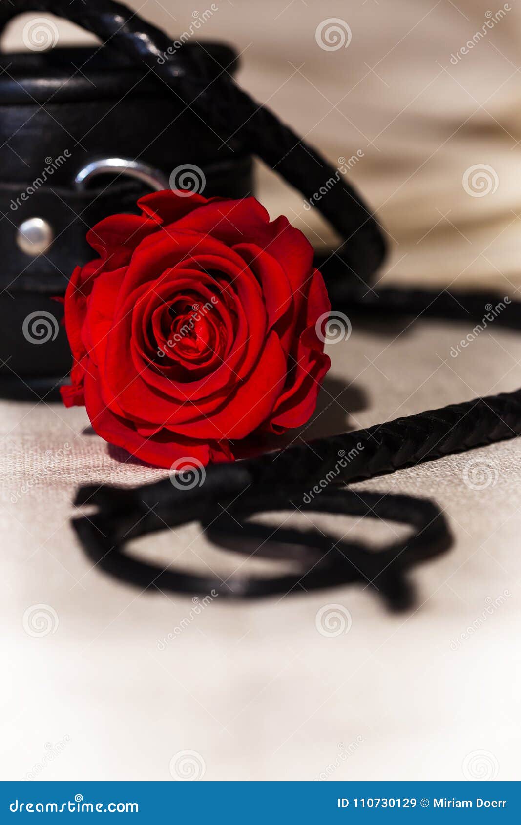 Rose, whip and handcuffs stock image. Image of lady - 110730129