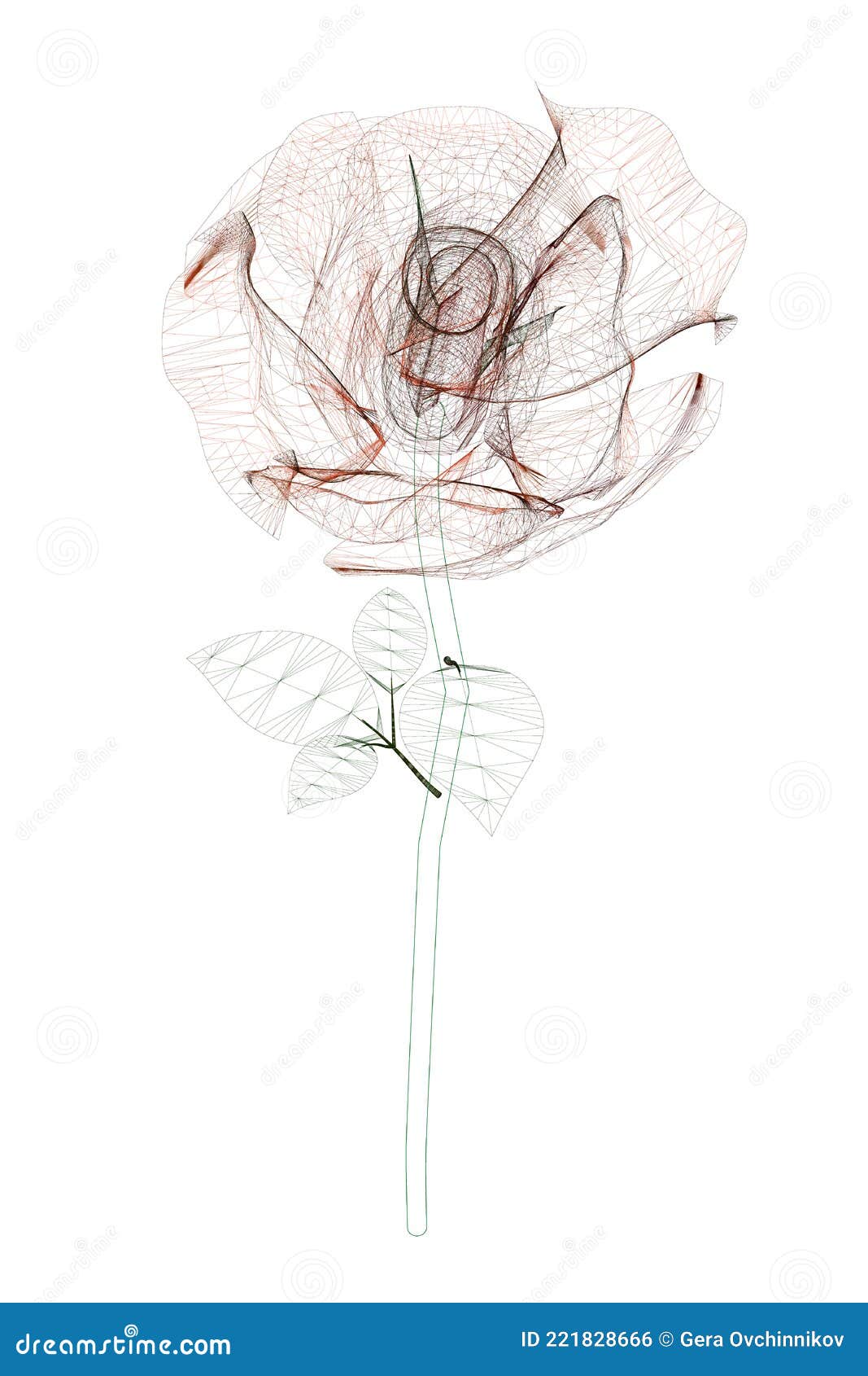 Rose Wireframe Isolated on White Background. 3D Stock Vector ...