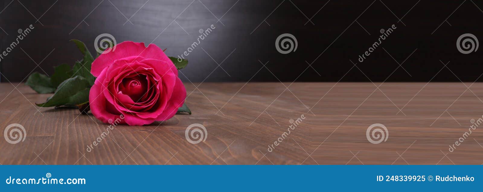 Rose on wood background stock image. Image of vintage - 248339925