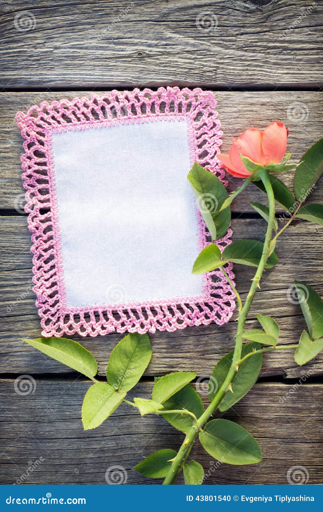 Rose on wooden board stock photo. Image of flower, decoration - 43801540