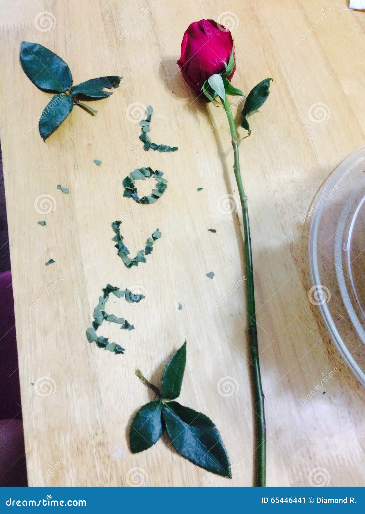 Rose with the word of love stock image. Image of spell - 65446441