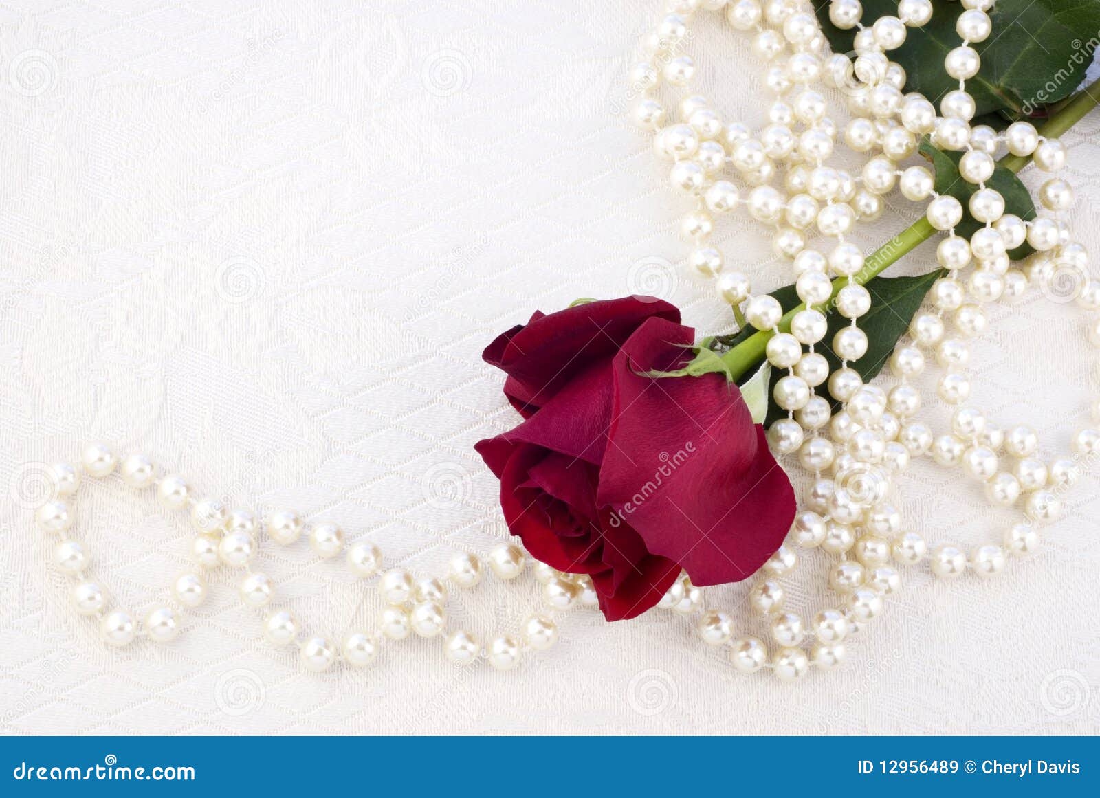 Rose y perlas rojas imagen de archivo. Imagen de rosa - 12956489
