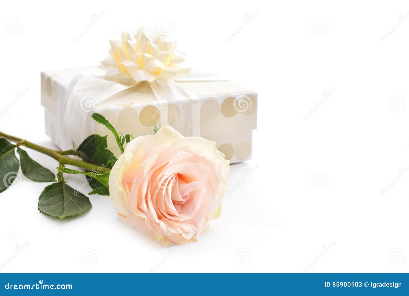 Rose y regalo imagen de archivo. Imagen de vida, regalo - 85900103