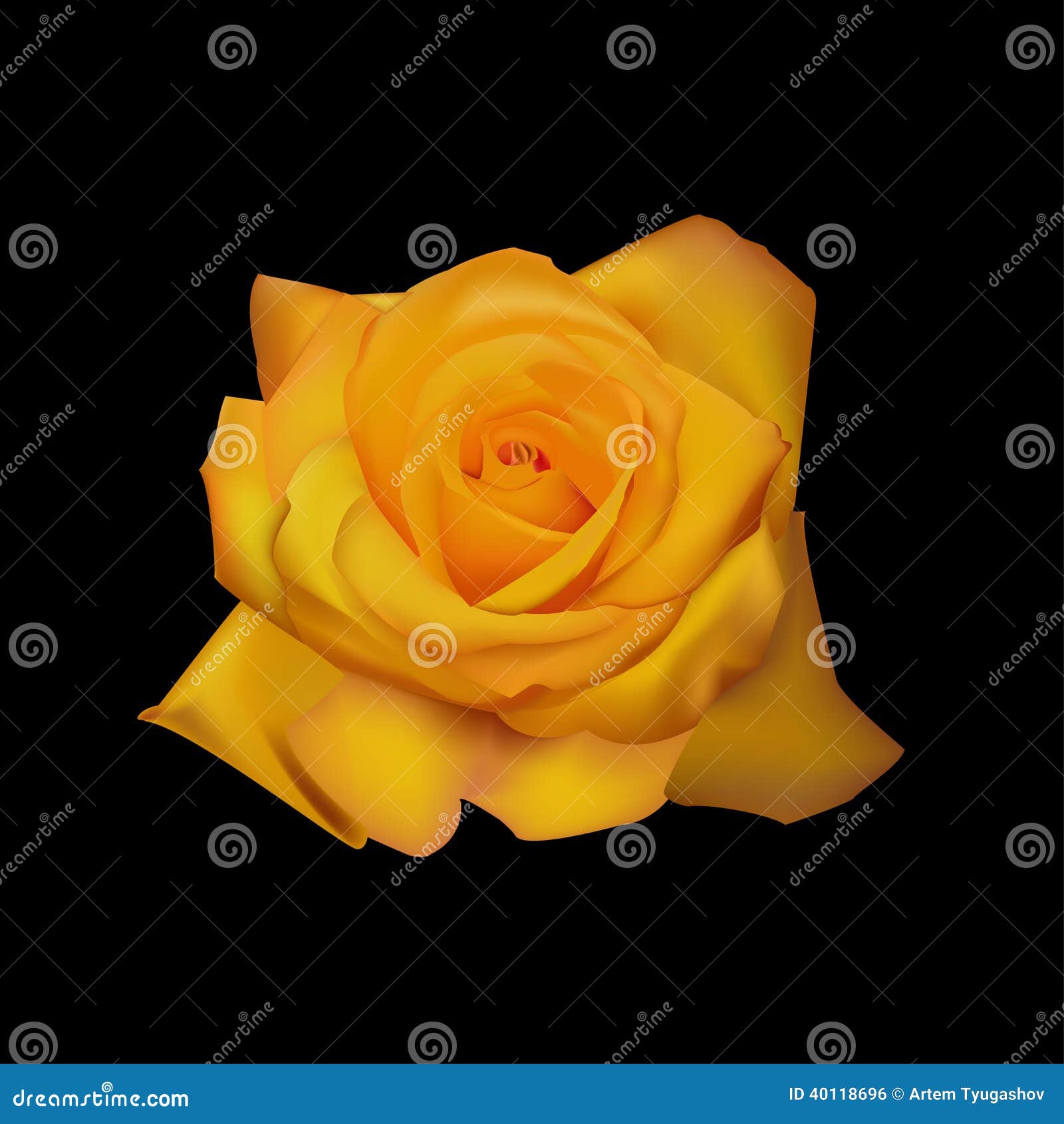 Rose Yellow Vector Illustration Stock Vector - Illustration of ...