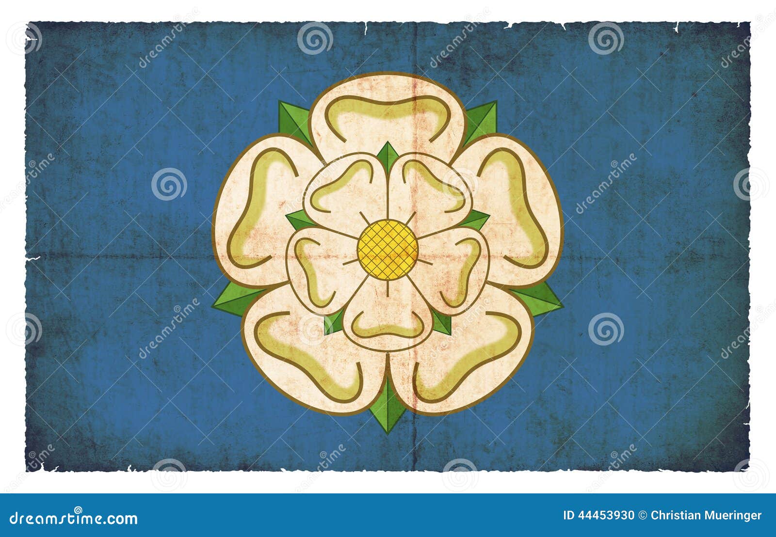 Rose of Yorkshire (Great Britain) Stock Illustration - Illustration of ...