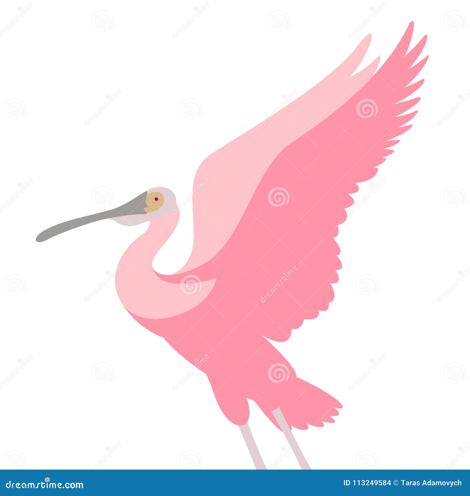 Flying Roseate Spoonbill Bird Animal Cartoon Character Vector ...