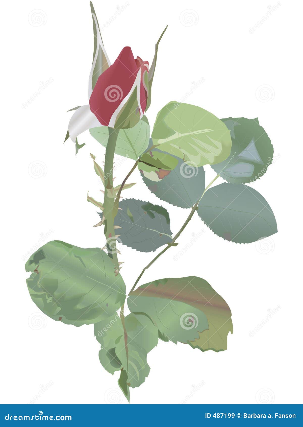 Rosebud Cartoons, Illustrations & Vector Stock Images - 8377 Pictures ...