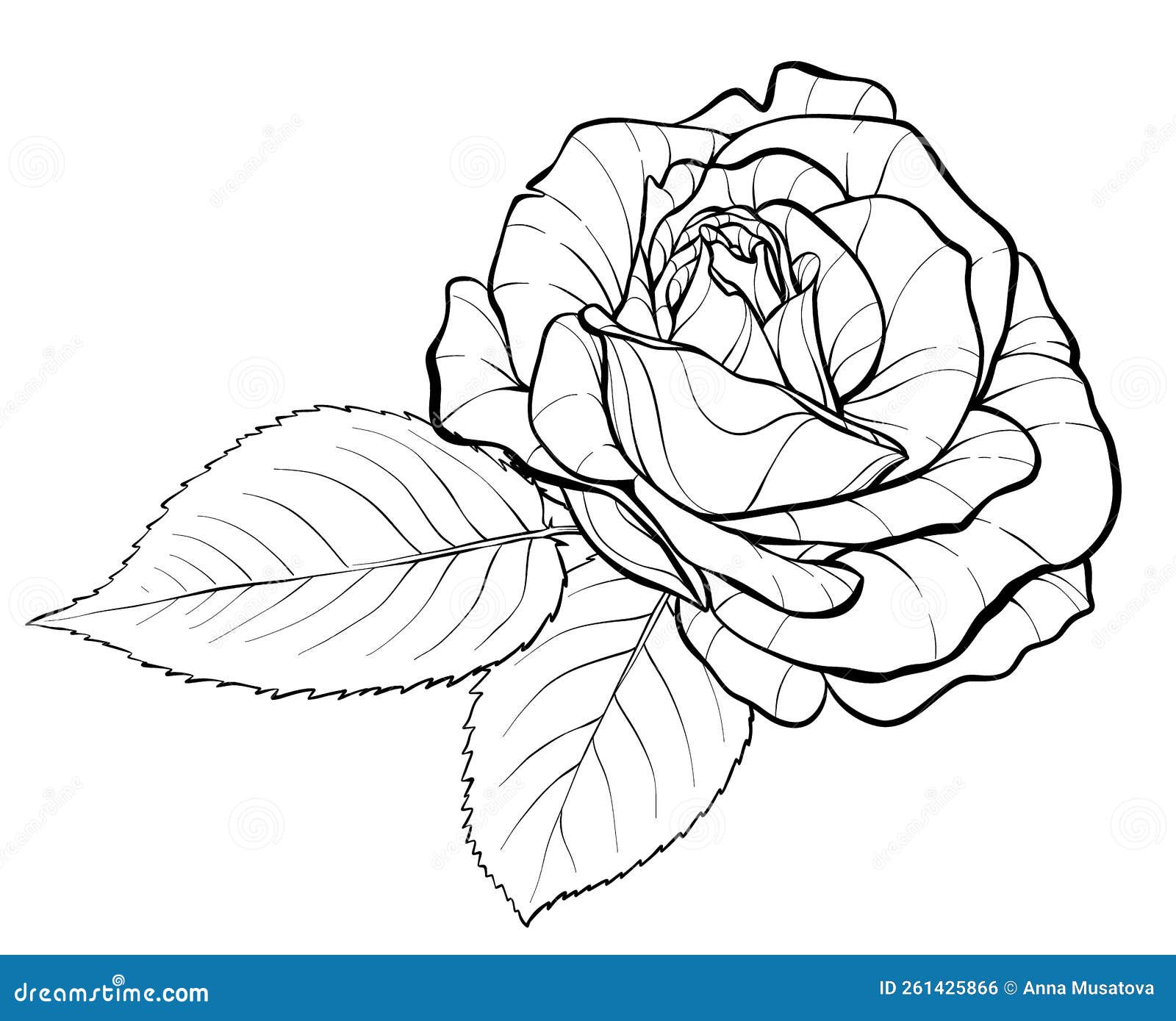 Rosebud with Leaves. Illustration Sketch in Black and White Style Stock ...