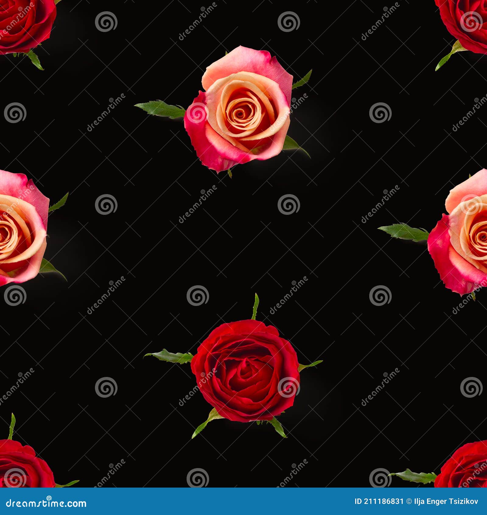 Rosebud Seamless Pattern. Head of Rose Bloom Isolated on Black Pattern ...