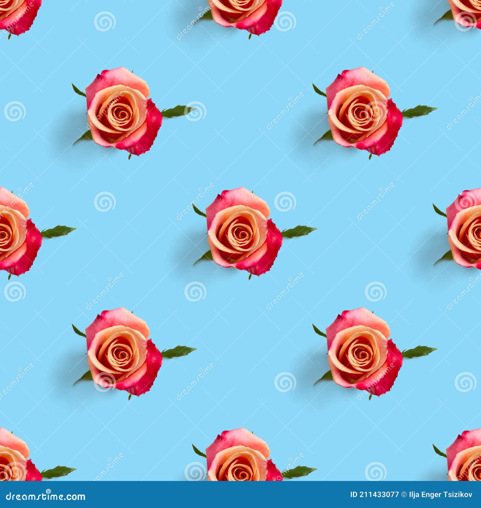 Rosebud Seamless Pattern. Head of Rose Bloom Isolated on Blue Pattern ...
