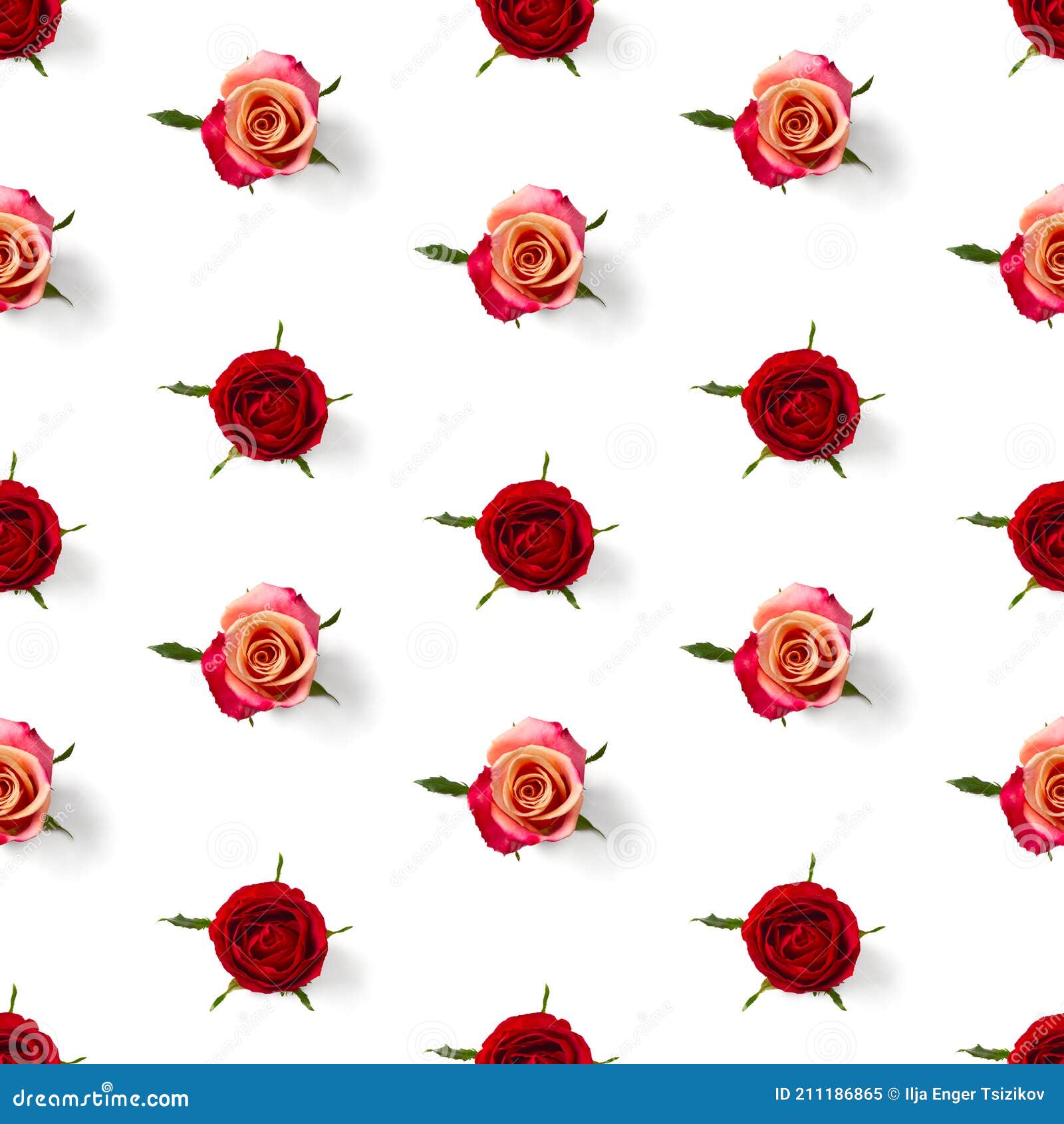 Rosebud Seamless Pattern. Head of Rose Bloom Isolated on White Pattern ...