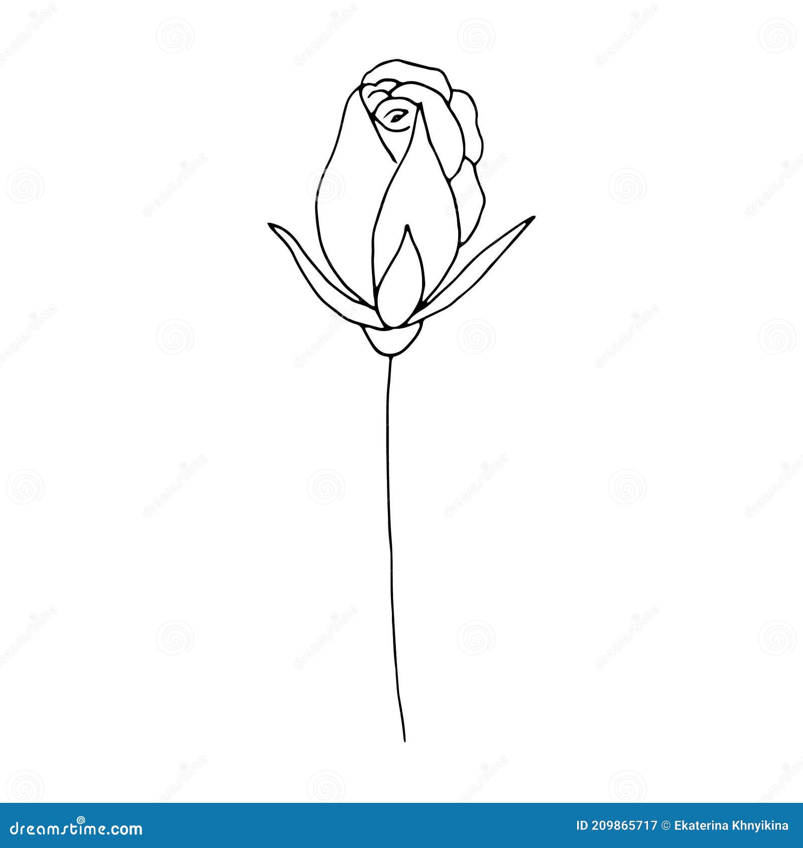 Rosebud, Vector Illustration, Hand Drawing Outline Sketch Stock Vector ...