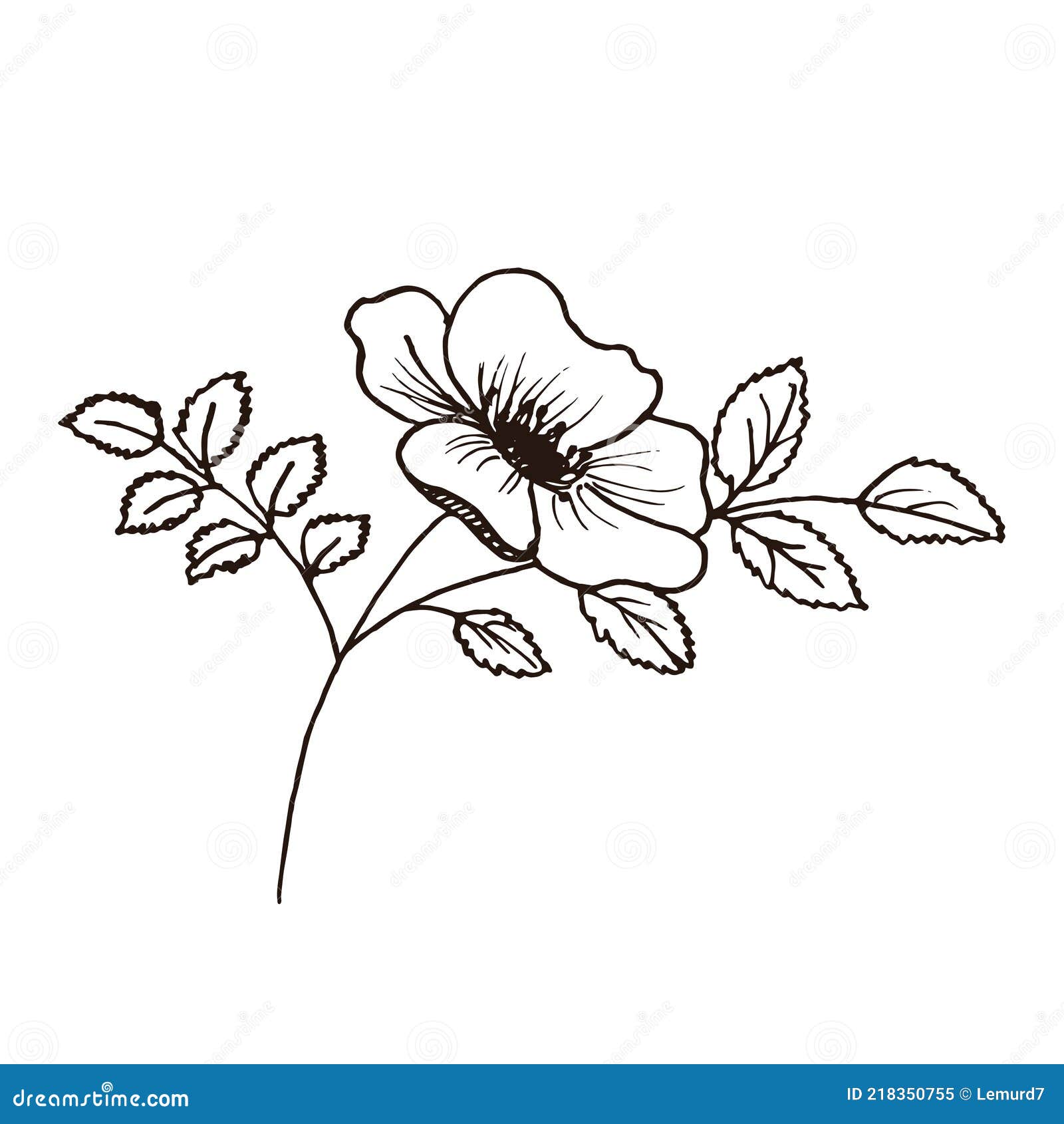 Rosehip. Botanical Vector Illustration. Ink Drawing in Doodle Style ...