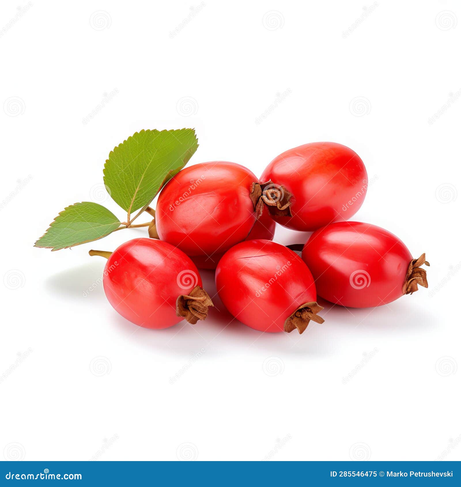 Rosehip with Leaves Isolated on White Background Stock Image - Image of ...