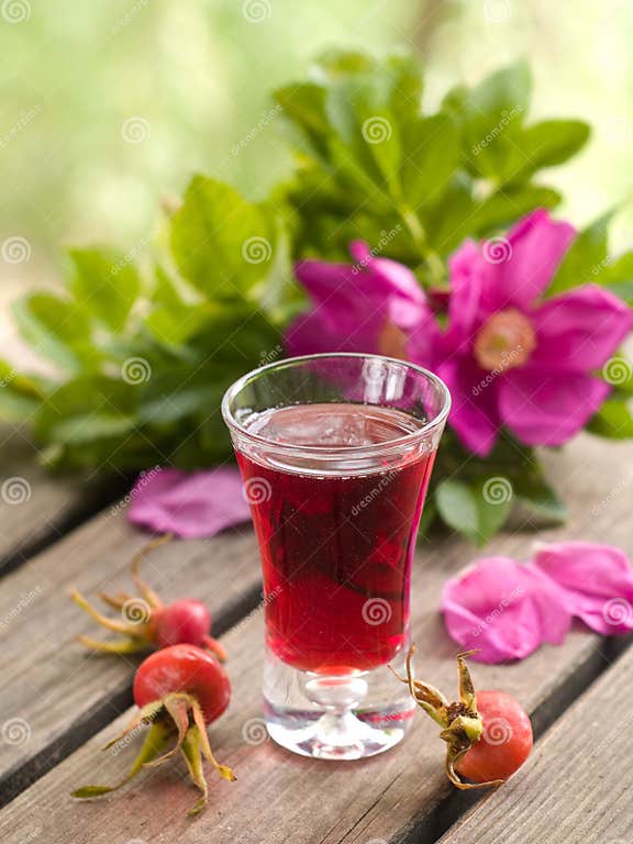 Rosehip liquor stock photo. Image of berry, fruit, liquid - 26537932