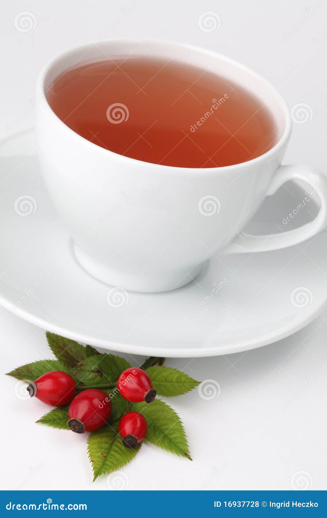 Rosehip tea stock photo. Image of fruit, berry, medicine - 16937728