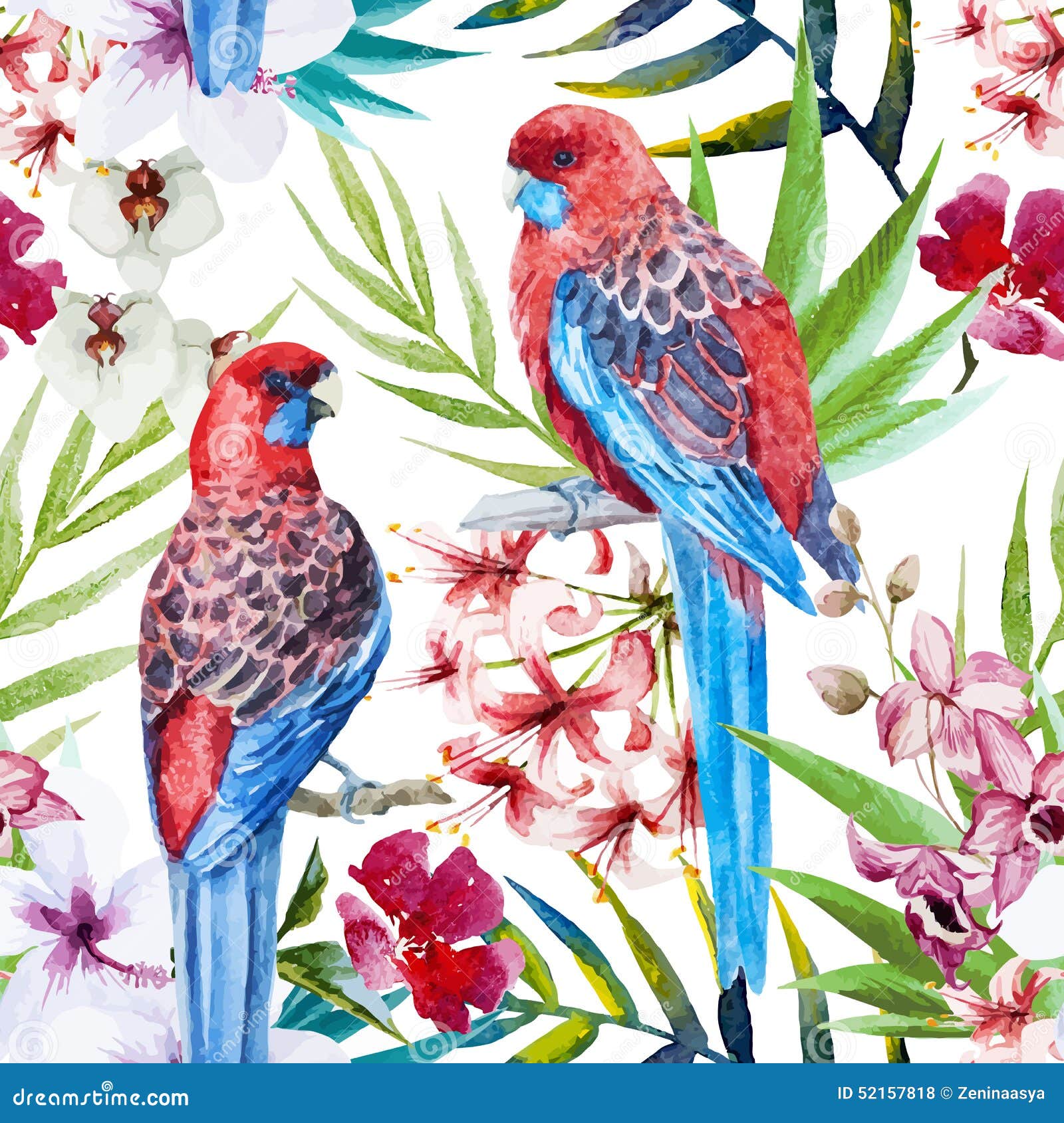 Rosella Cartoons, Illustrations & Vector Stock Images - 432 Pictures to ...