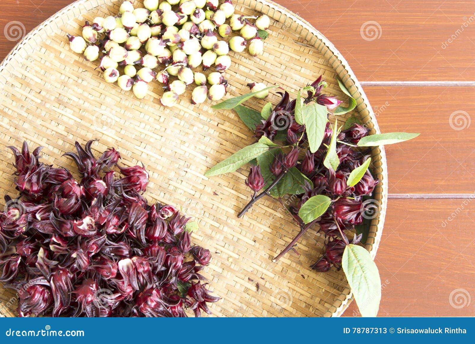 Rosella stock image. Image of hibiscus, organic, flora - 78787313