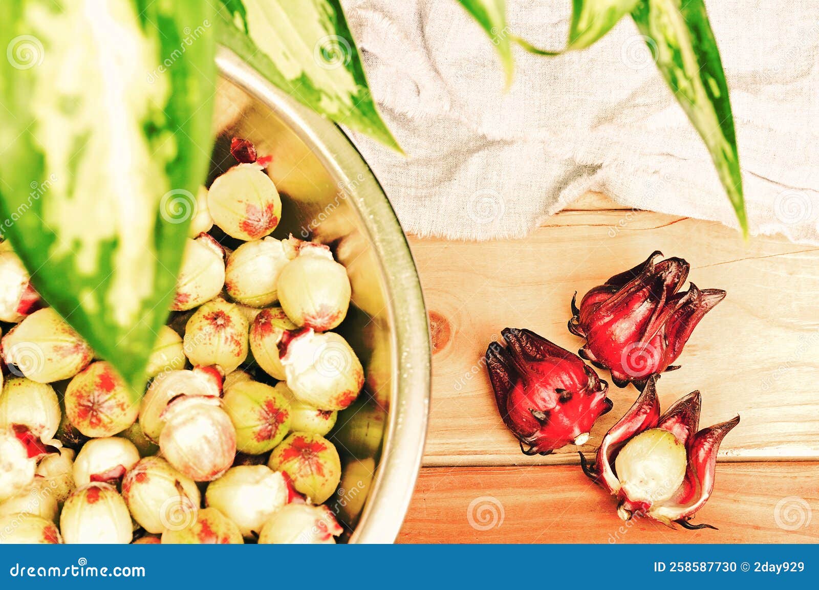 Roselle Calyx, Sour, Edible, Nature Stock Photo - Image of colourings ...