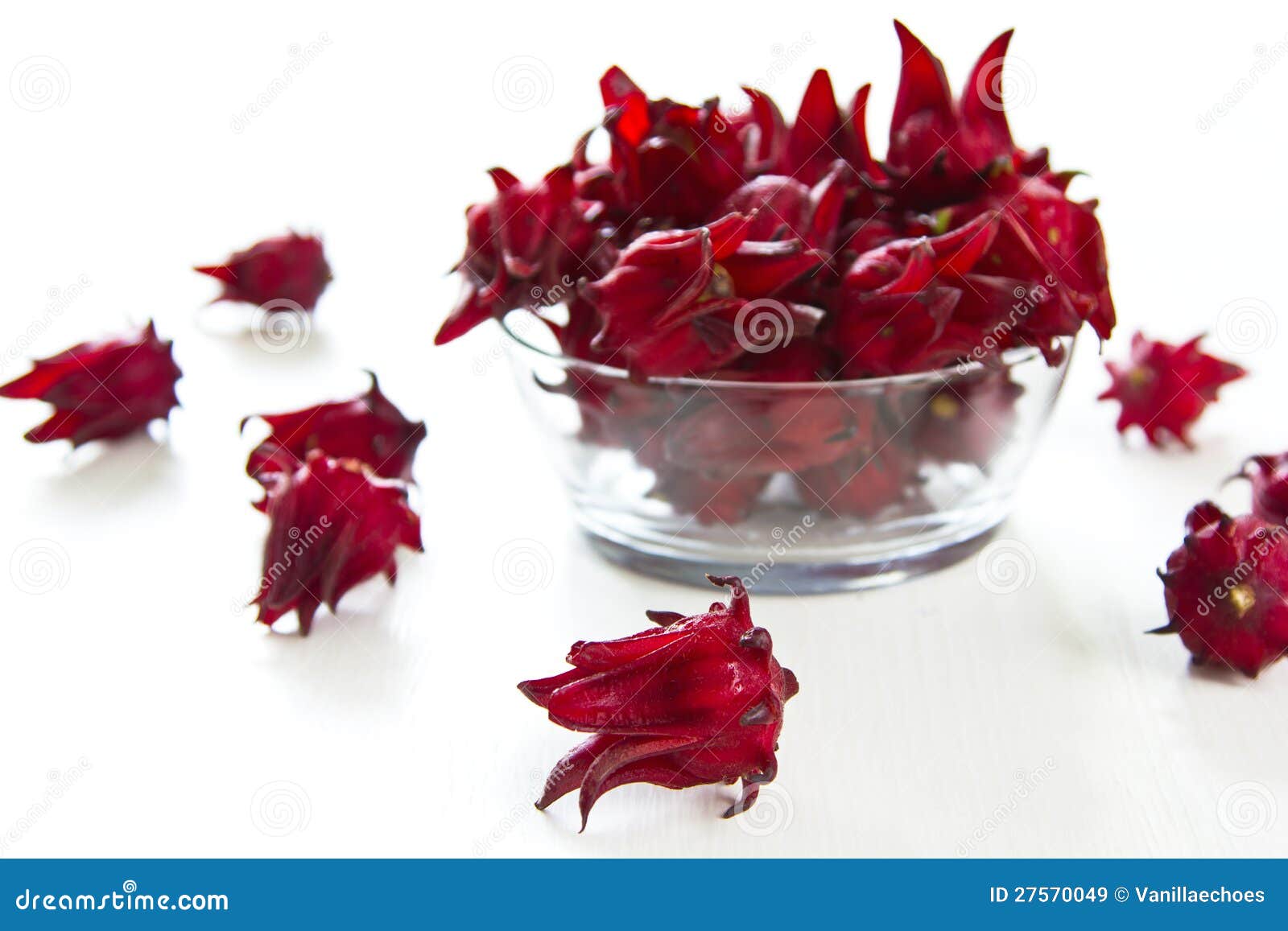 Roselle Hibiscus Sabdariffa Red Fruit Flower On White Background Stock ...