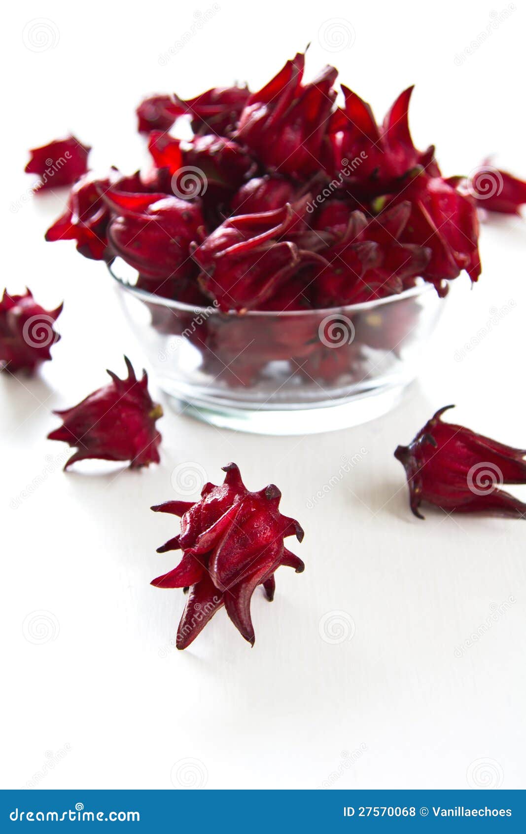 Roselle [Hibiscus Sabdariffa] Stock Photo - Image of tropical, flower ...
