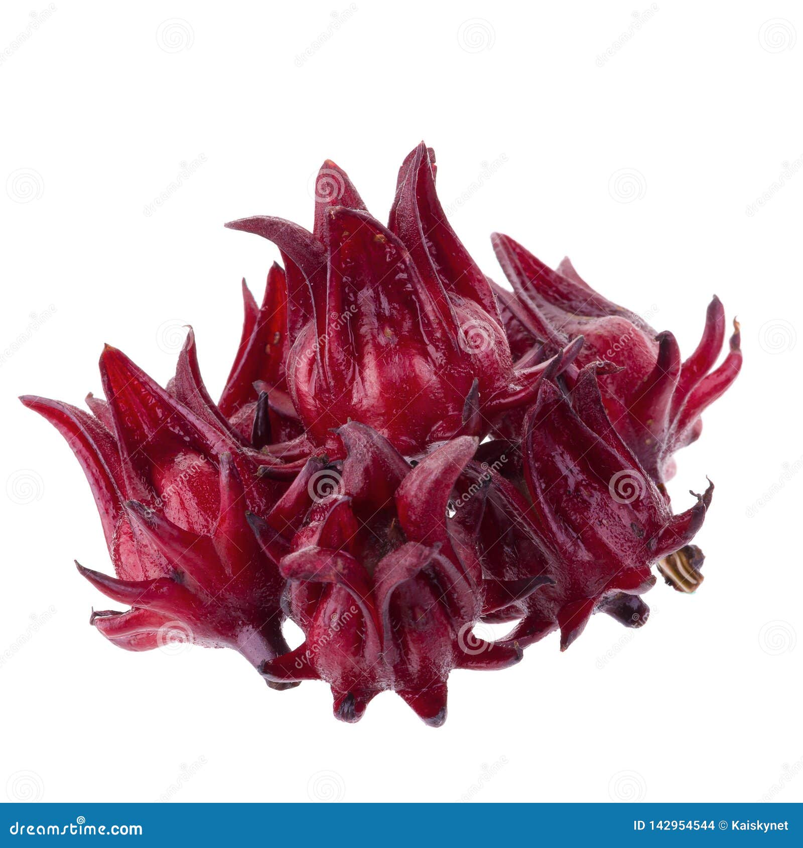 Roselle Hibiscus Sabdariffa Red Fruit Flower on White Background Stock ...