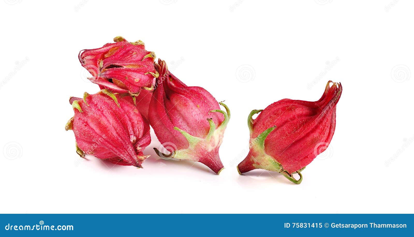 Roselle Isolated on White Background Stock Image - Image of healthy ...