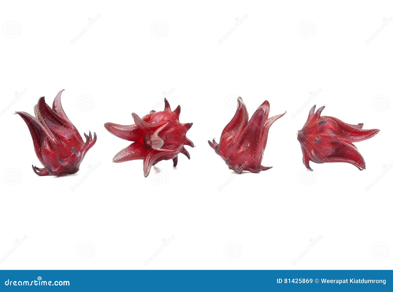 Roselle stock image. Image of isolated, roselle, vegetable - 81425869