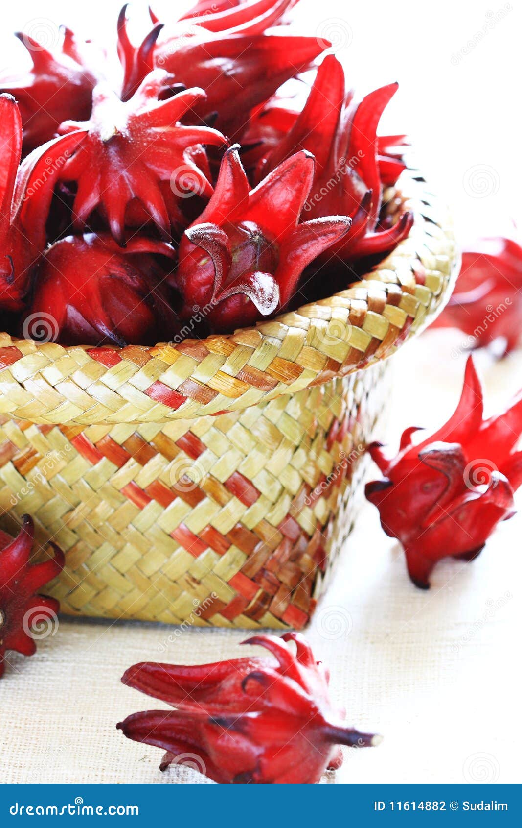 Roselle red stock photo. Image of bloom, nature, healthy - 11614882