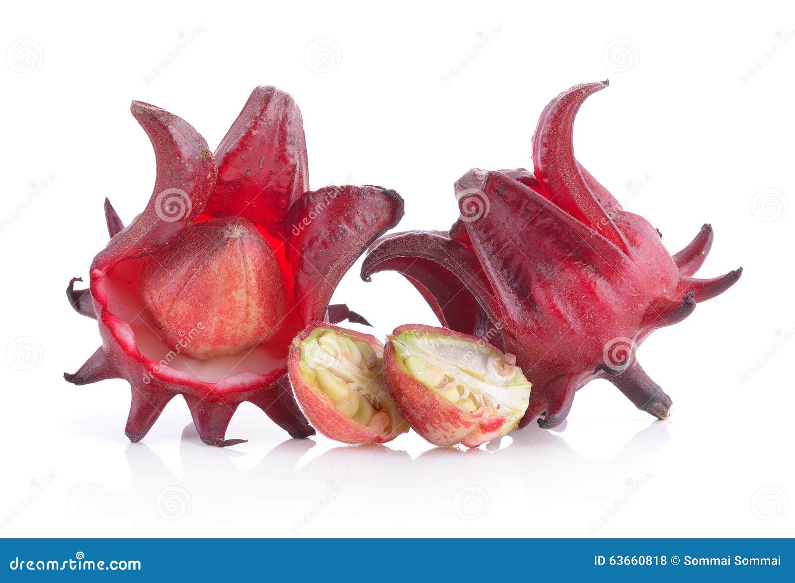 Roselle on White Background Stock Photo - Image of background, plant ...