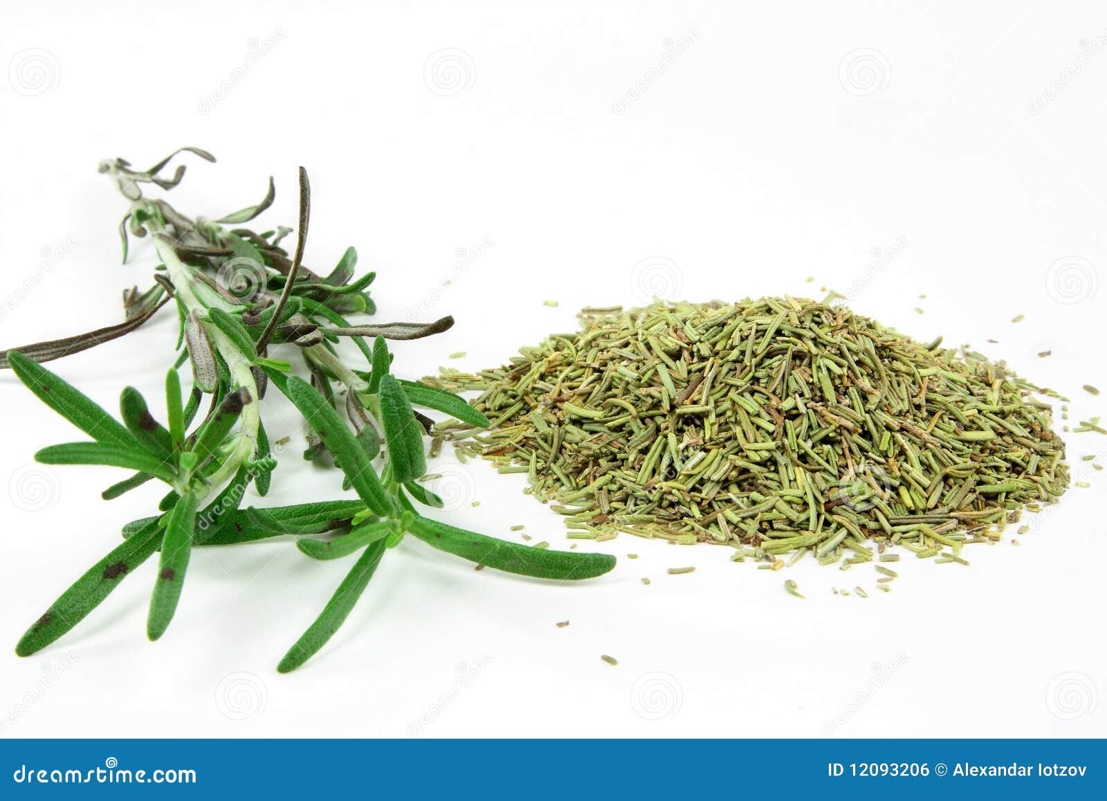 Rosemary. stock photo. Image of leaf, seasoning, herb - 12093206