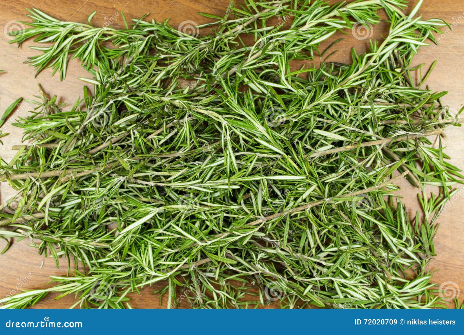 Rosemary Background stock image. Image of fresh, herbal - 72020709