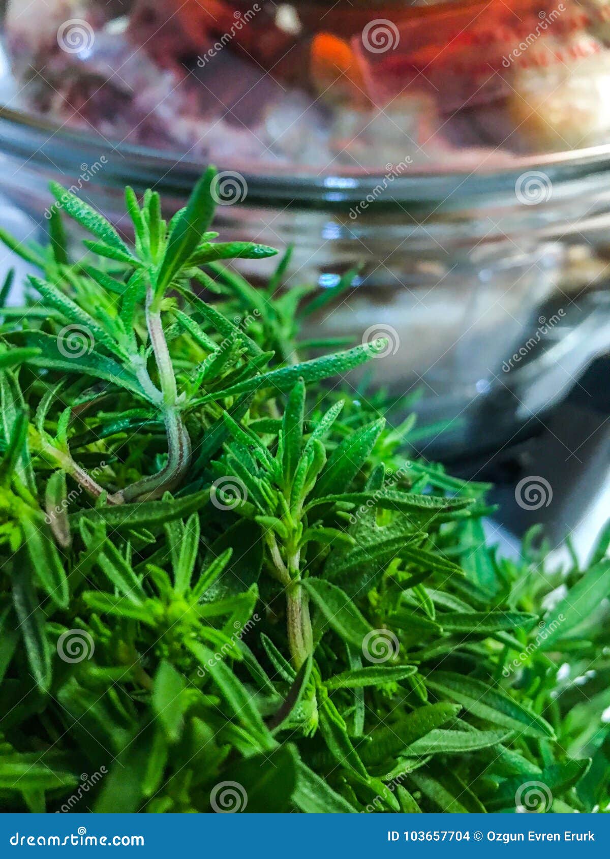 Rosemary Background Isolate Stock Photo - Image of flower, backgrounds ...