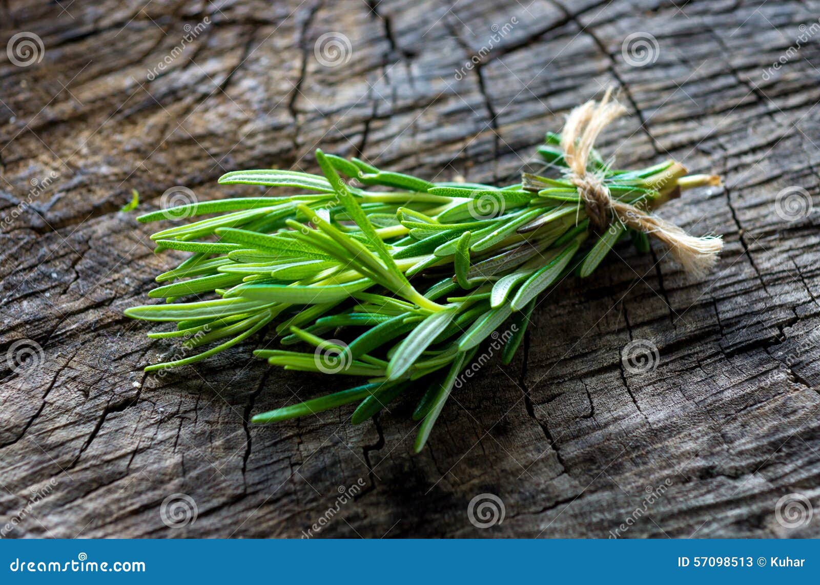 Rosemary stock image. Image of healthy, fresh, ingredient - 57098513