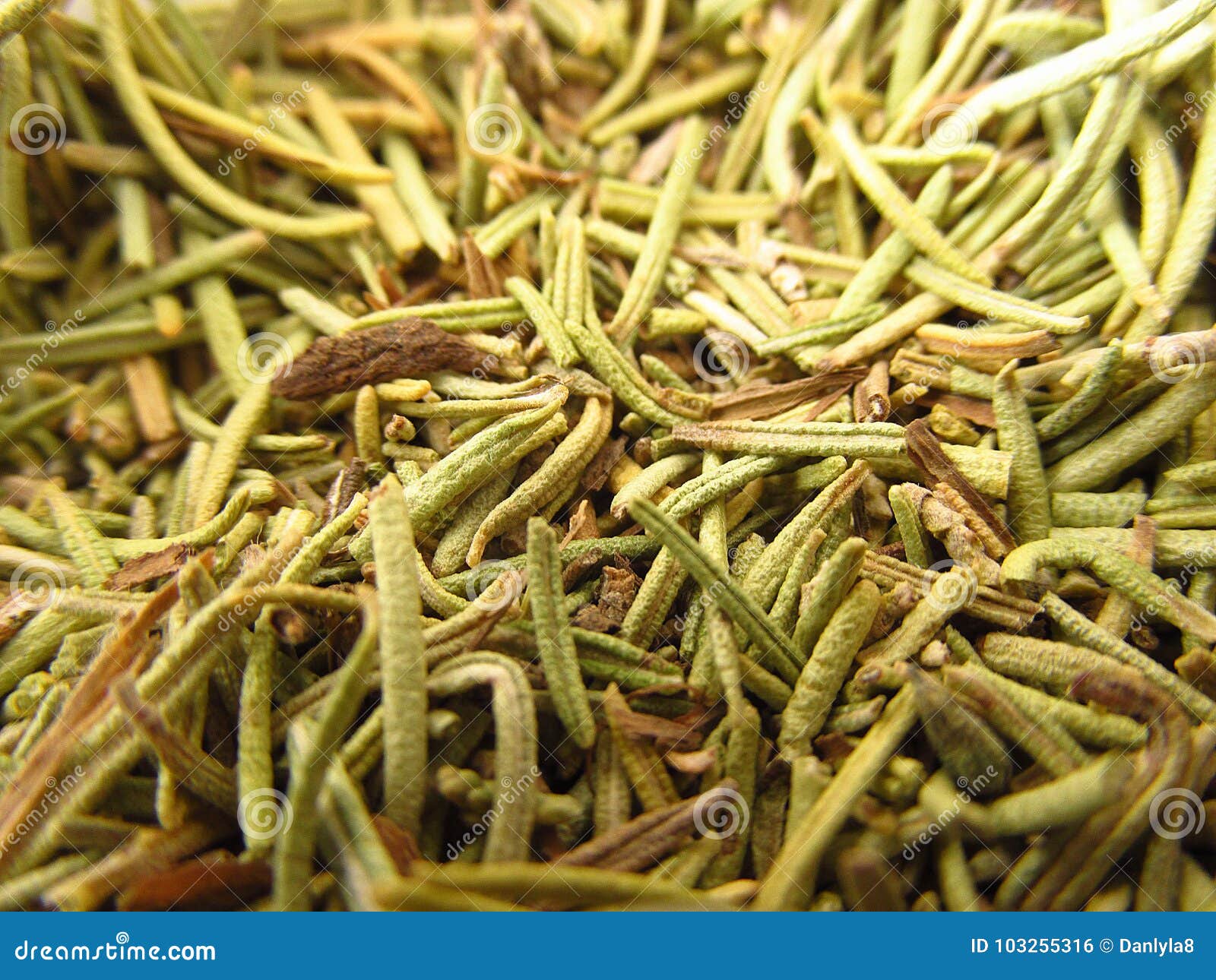 Organic texture: Rosemary stock photo. Image of cuisine - 103255316