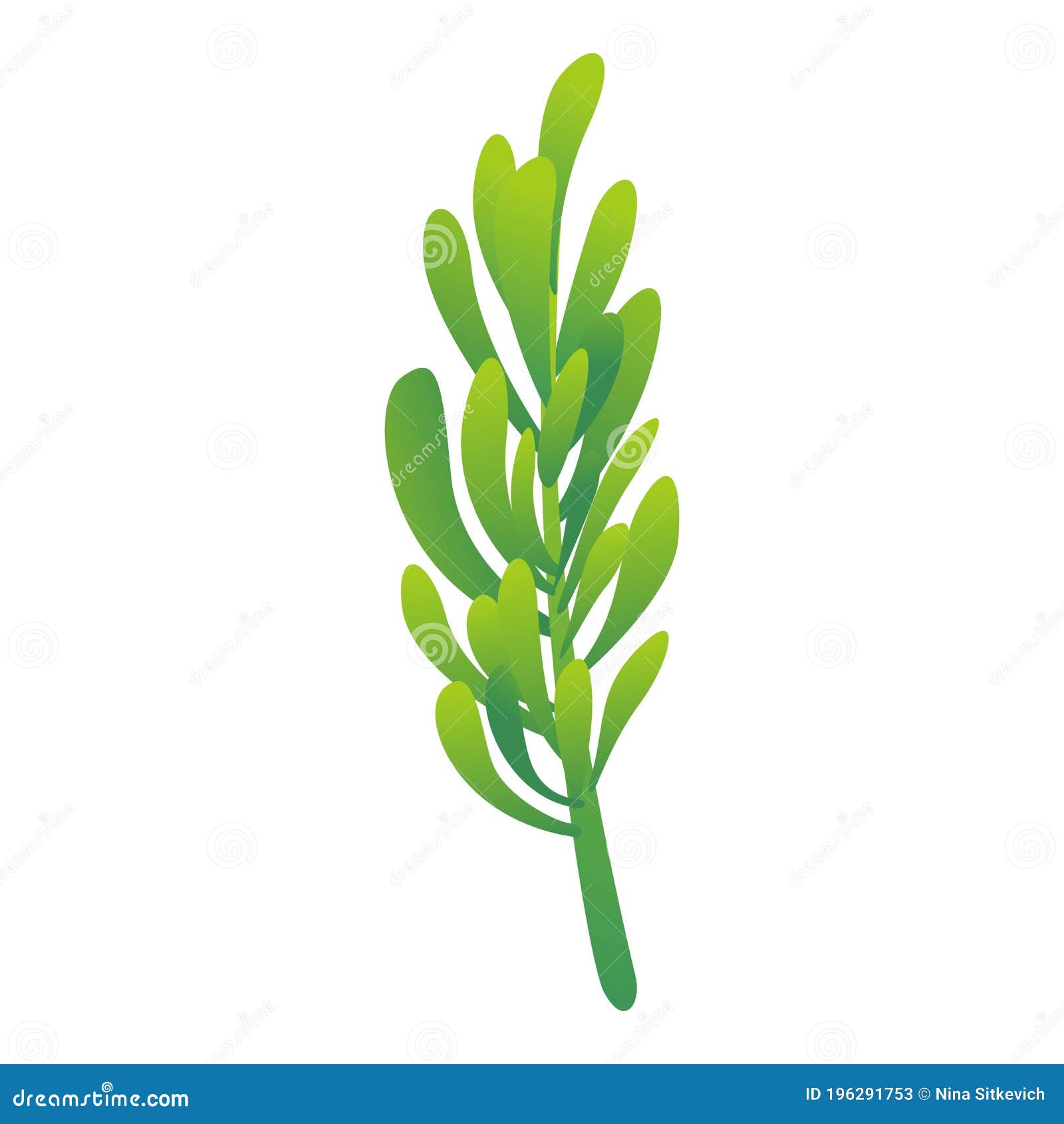 Rosemary Icon In Black Style Isolated On White Background. Herb An ...
