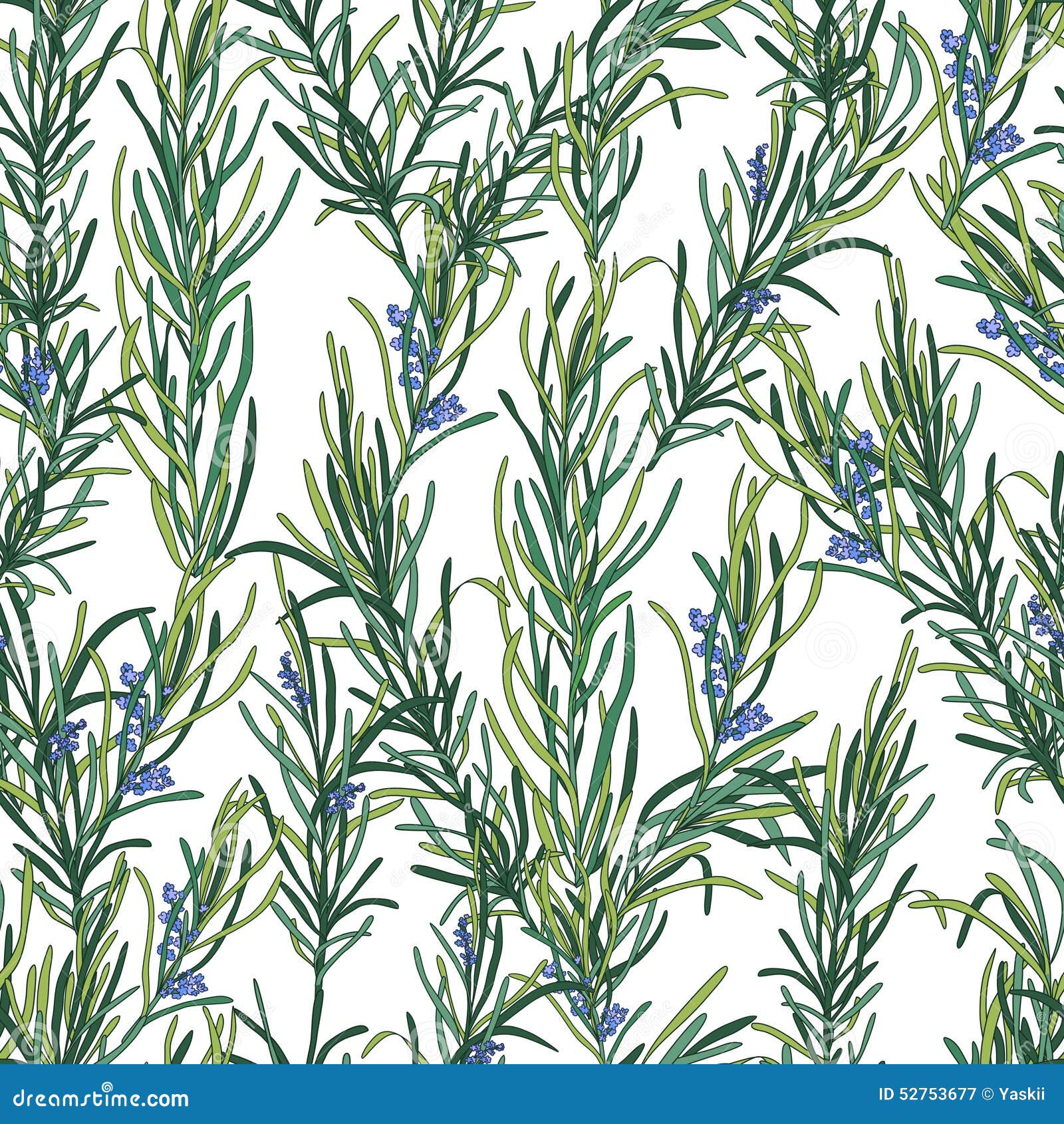 Rosemary Pattern Stock Illustrations – 3,546 Rosemary Pattern Stock ...